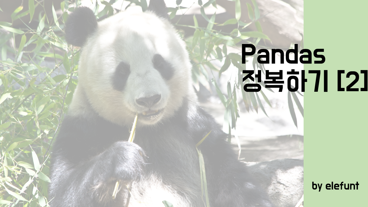 elefunt-devlog | This is development blog for ML/DL.